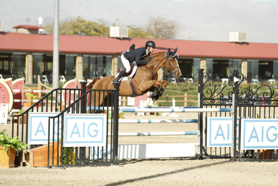 Horses | Neil Jones Equestrian, Inc.