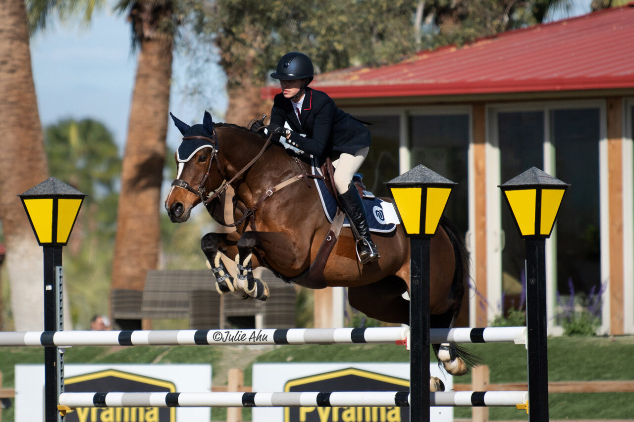 Horses | Neil Jones Equestrian, Inc.